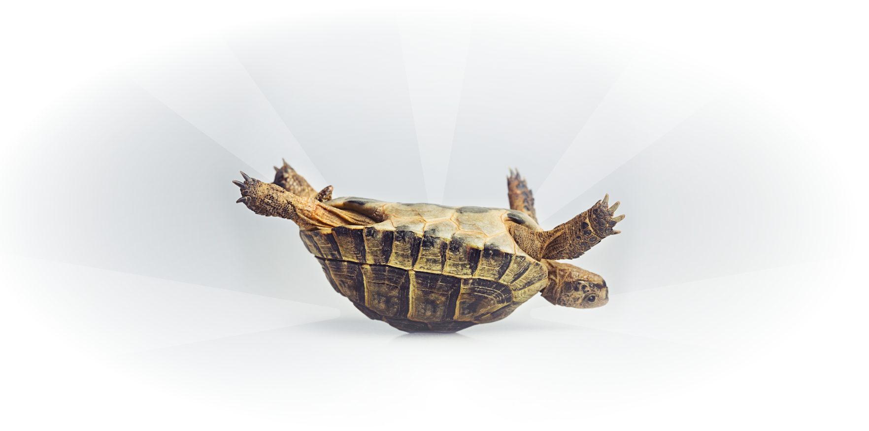 Don't Stick with frozen internet - get unstuck with Luminate